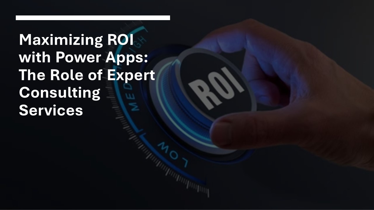 Learn how expert consulting services can help you maximize ROI with ...